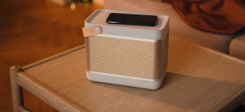 How do I reset and remove all paired Bluetooth devices on Beolit 20 ...